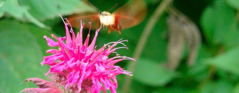 Locations Hub - Fellowship Farm