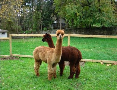 Locations Hub - Fellowship Farm